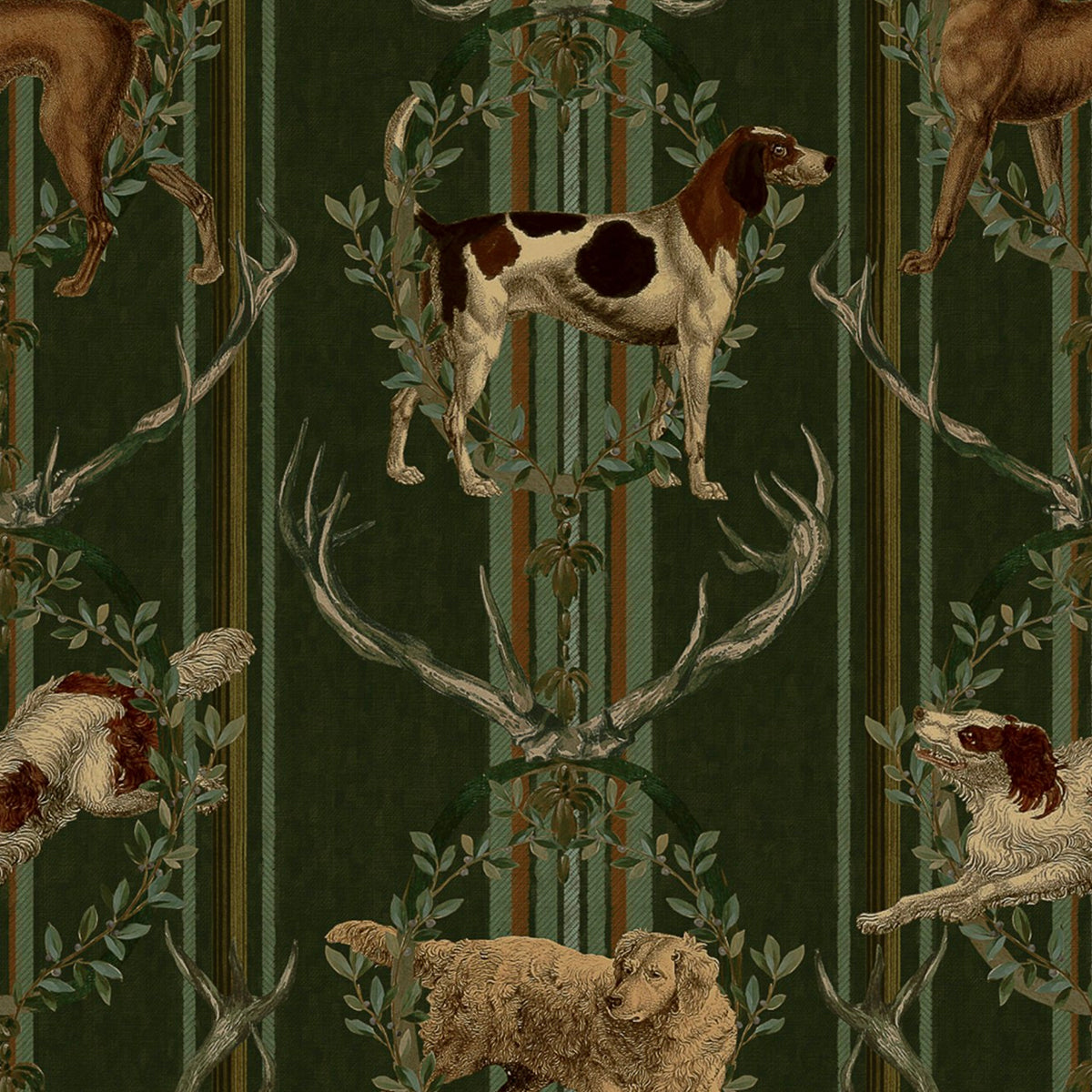 Duck Hunting Dog Wallpaper