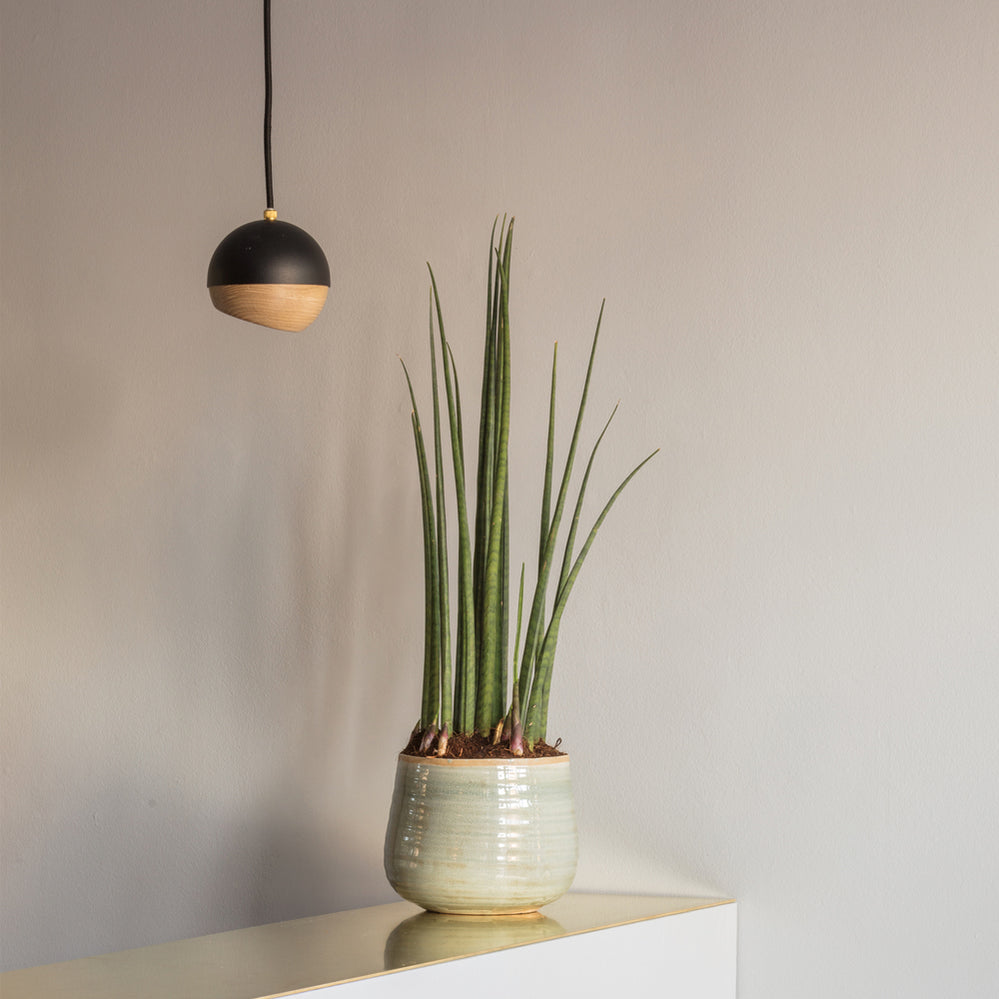 Ray Pendant Lamp by Mater | Do Shop